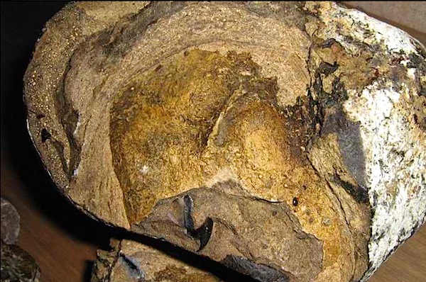 identificação | Ambergris Experts